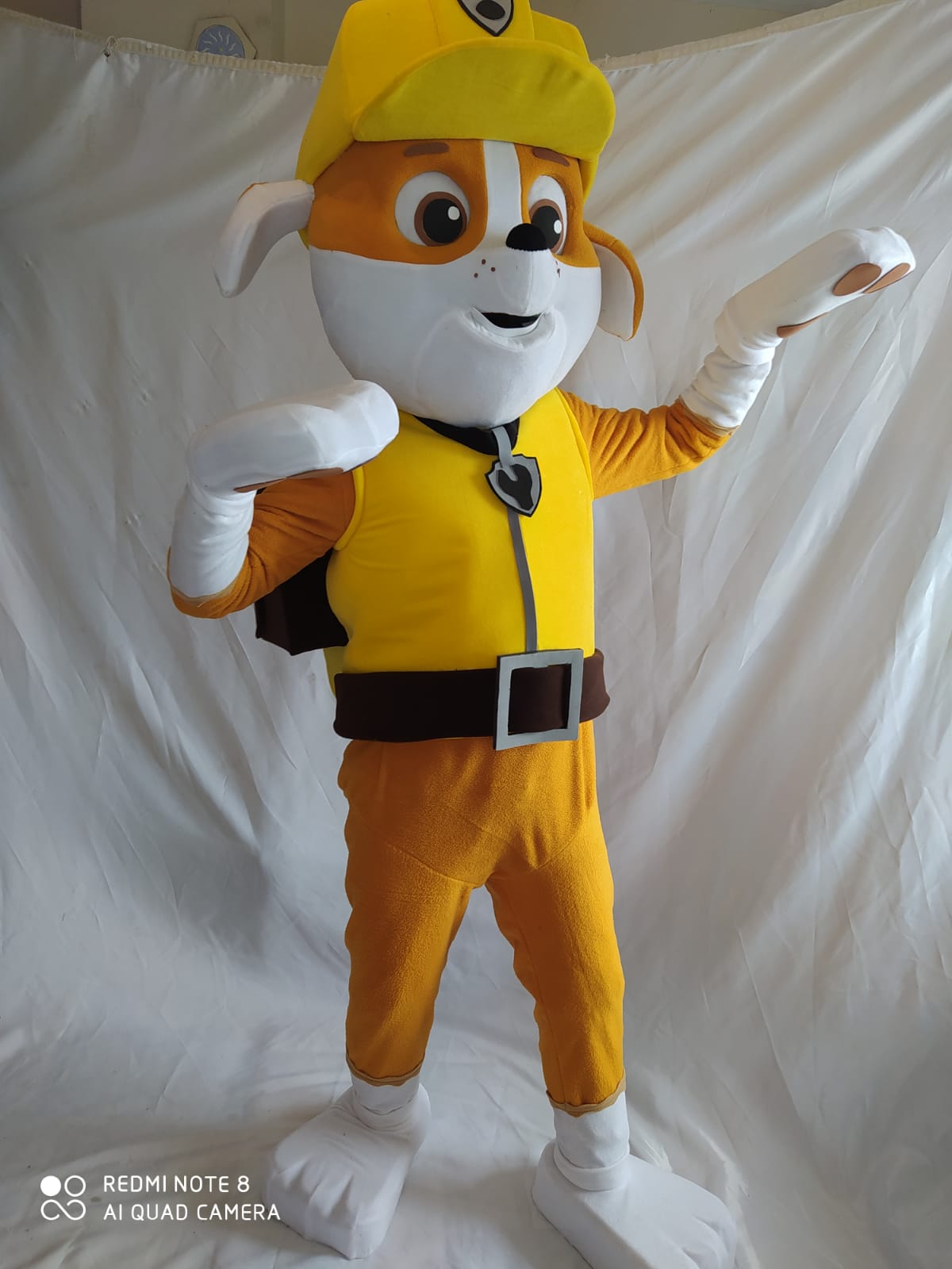 Paw Patrol Maskot Kostümü - Maskot Kostüm Dünyası